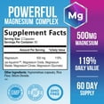 Nature's Nutrition Magnesium Complex Supplement 500 mg 5-in-1 Chelated ...