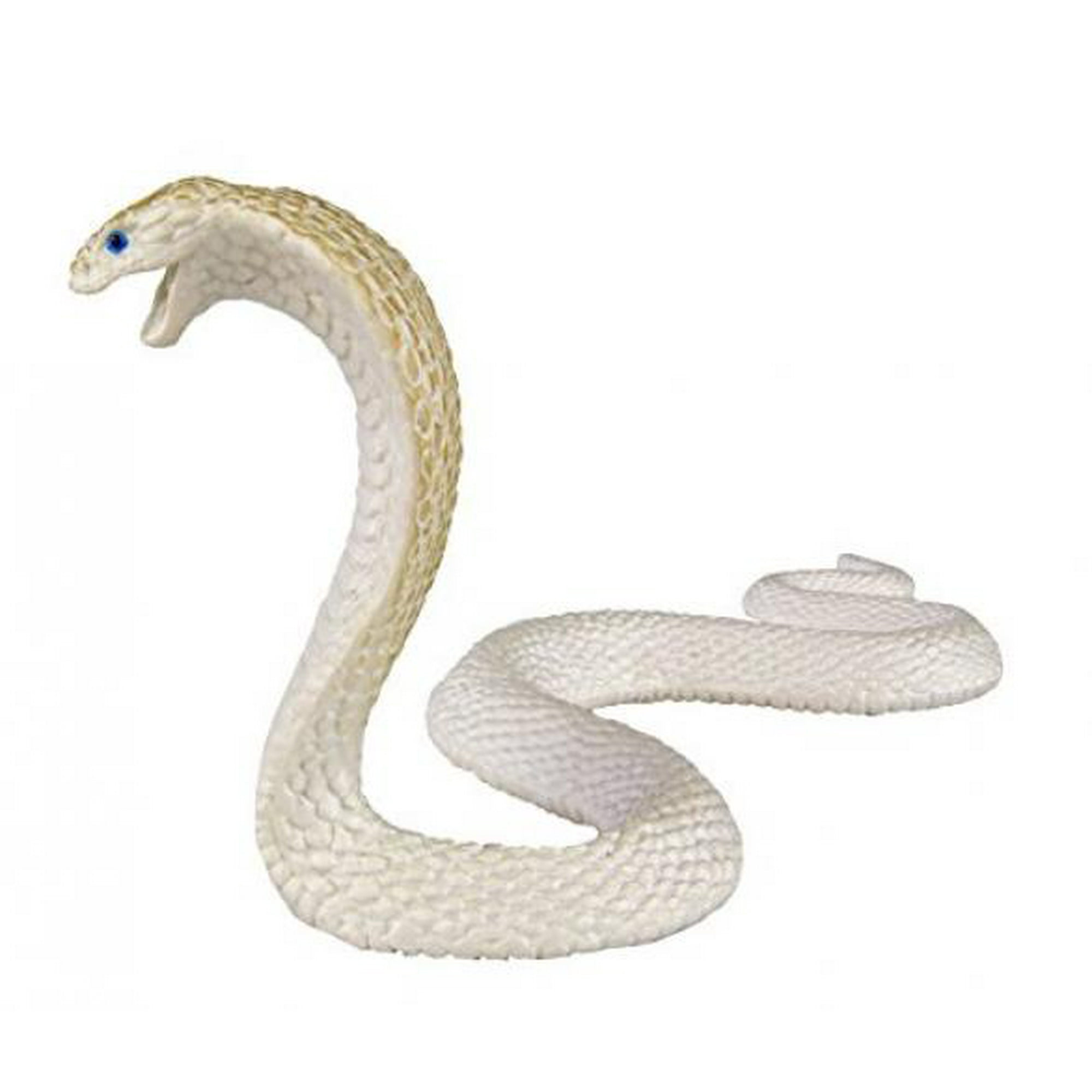 White King Cobra Snake