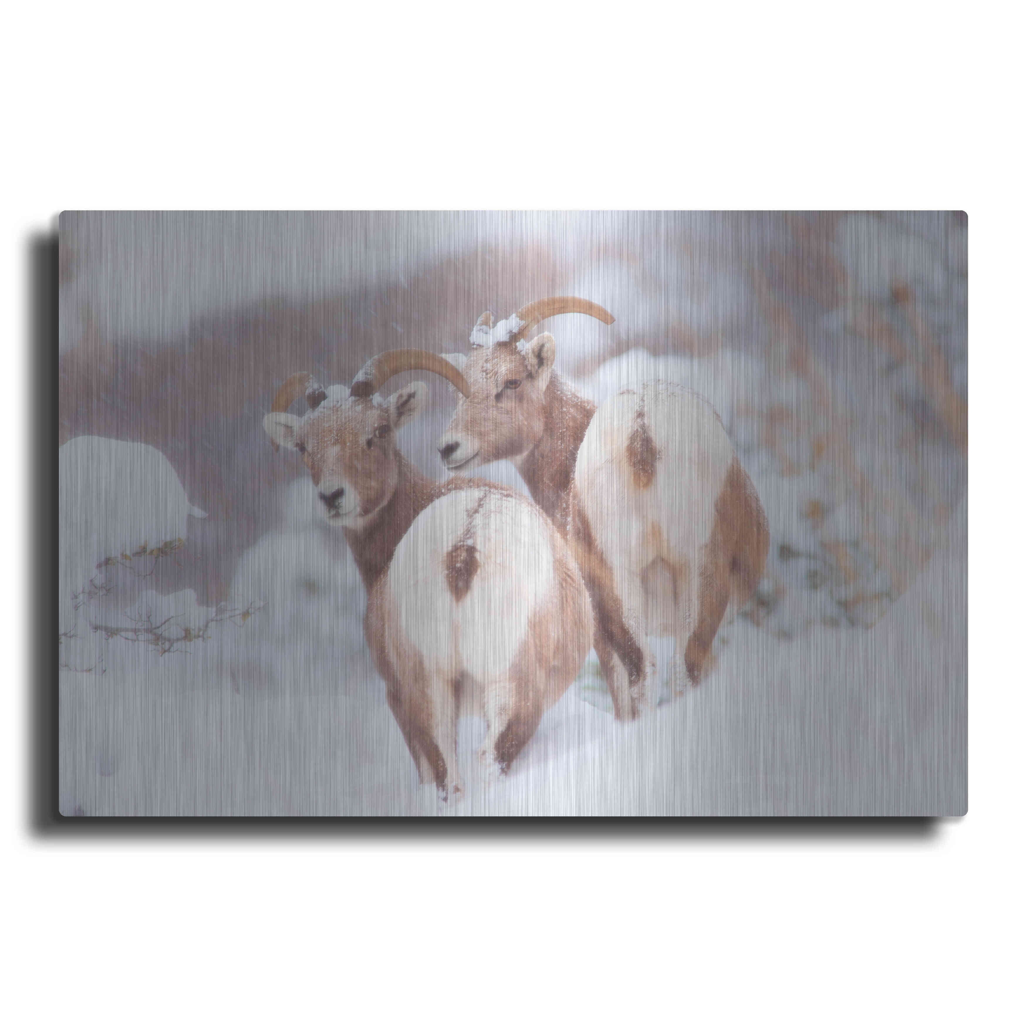 Luxe Metal Art 'Bighorns Two' by Thomas Haney, Metal Wall Art, 16"x12 ...