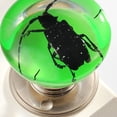 NEXAVKPR Versatiles Crystal Balls Door Knob Suitable for Bedroom ...