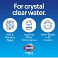 Clorox XtraBlue Pool Shock Treatment - Chlorine Chemicals for Swimming ...