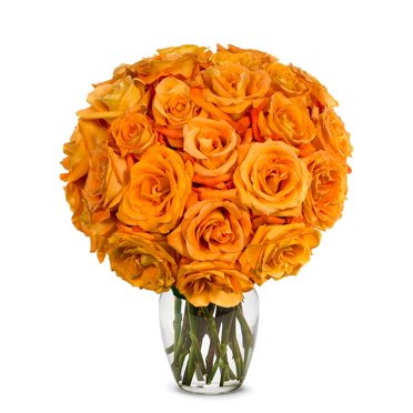 Two Dozen Peach Roses- Beautiful Fresh Cut Flowers- Express Delivery ...