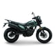 MOTOCICLETA LETBE TRAIL FLYGON 250 VERDE 2026 | Bodega Aurrera en línea