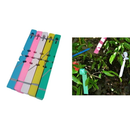 200Pcs Colorful Wrap Around Plant Tree Tag Nursery Flower Labels ...