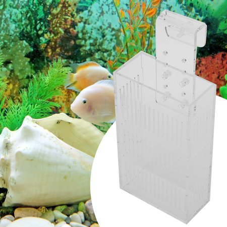 Isolation Box Fish Breeding Isolation Box, Space-Saving Designs Fish ...