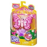 Little Live Pets Lil' Butterfly - like A Real Butterfly - Styles May ...