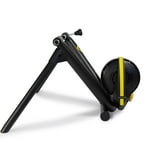 CycleOps Magnus Electronic Indoor Smart Cycling Workout Resistance ...