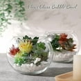 Clear Bowl Glass Vase Bubble Glass Round Vase Clear Bubble Planter ...