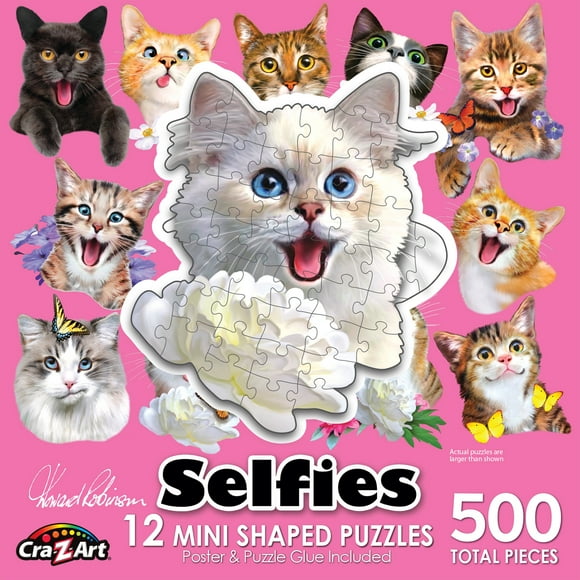 Cat Puzzles