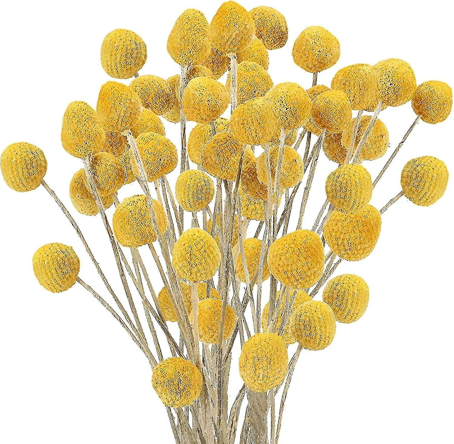 20 piezas de flores secas naturales, bolas de Billy, botones de Billy ...