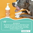 Natural Dog Company Wild Alaskan Salmon Oil for Dogs, Vet Formulated ...