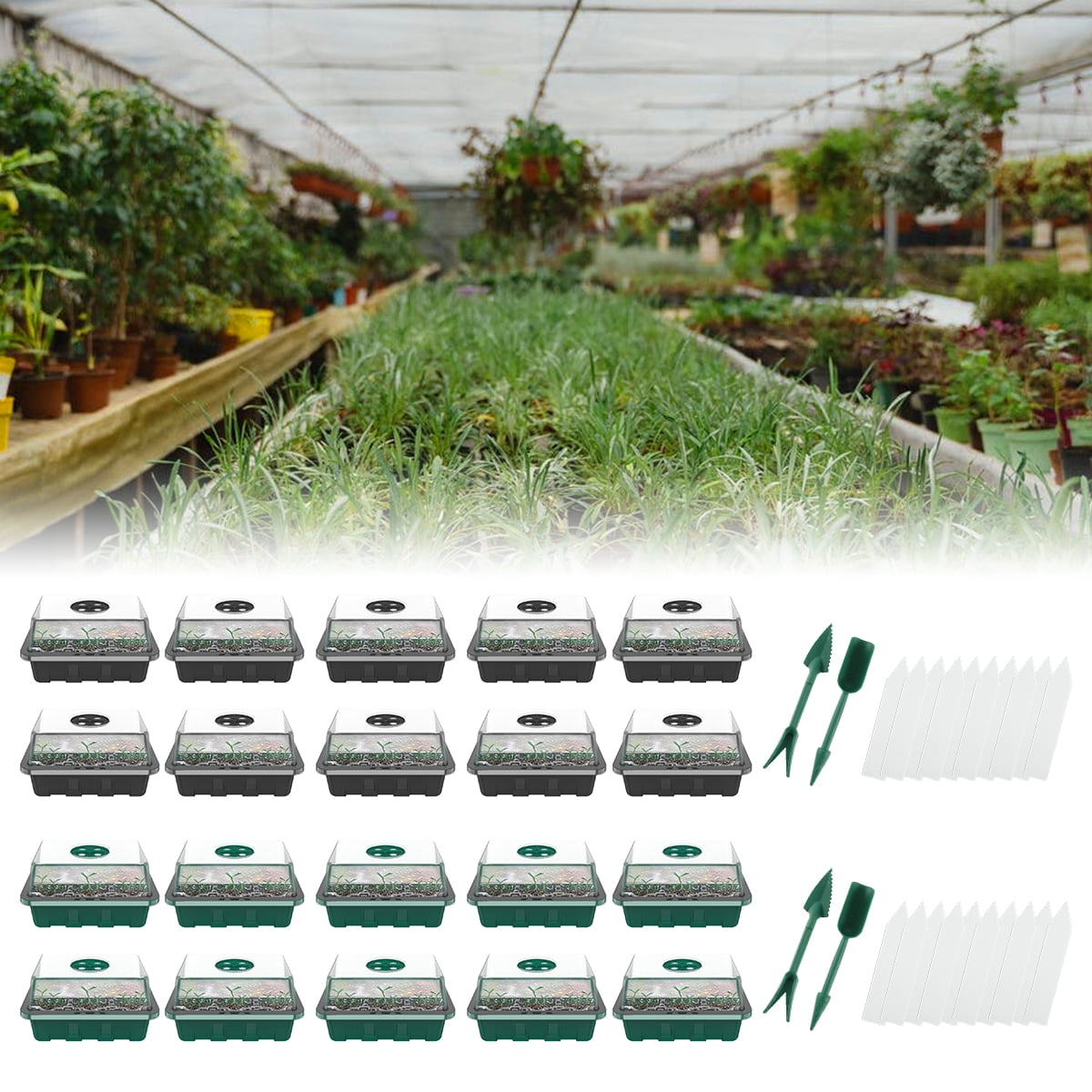 Yous Auto Seedling Starter Kit Plastic 10Pcs 12 Holes Seed Starter Tray ...