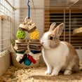 Ailezt Mice Wooden Chew Toys,Small Squirrels And Mice Grind Teeth And ...
