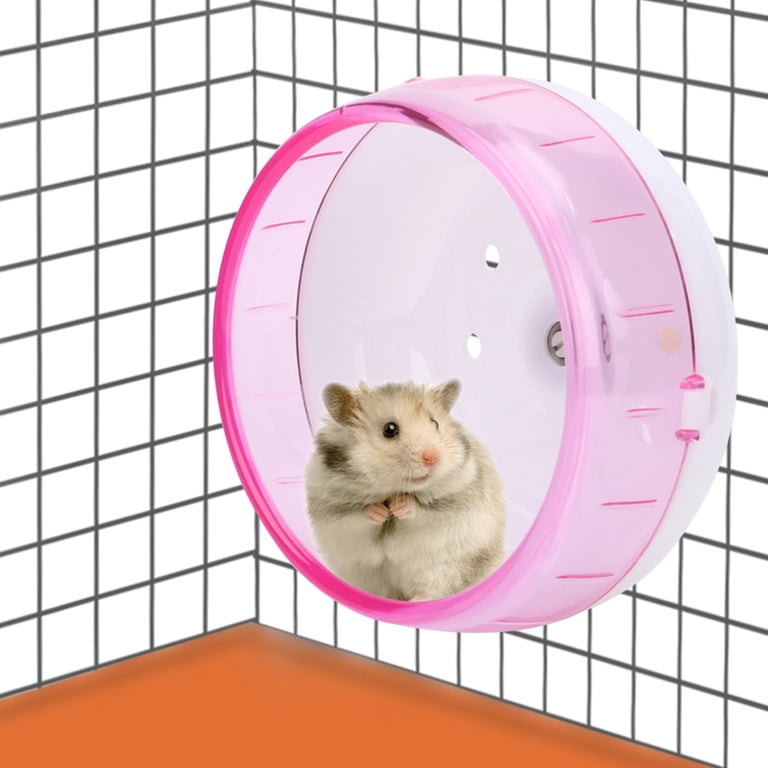 Sugar Glider Running Wheel
