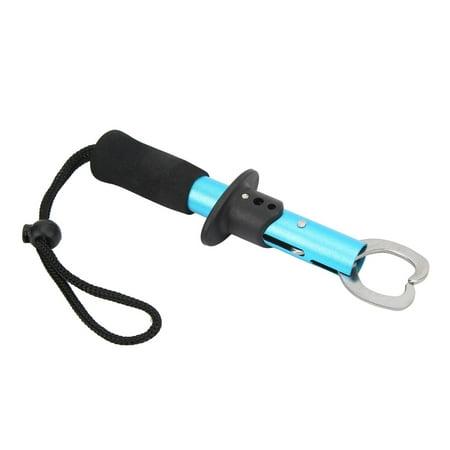 Fish Grabber, Compact Portable Fish Holder For Daily Fishing Blue ...