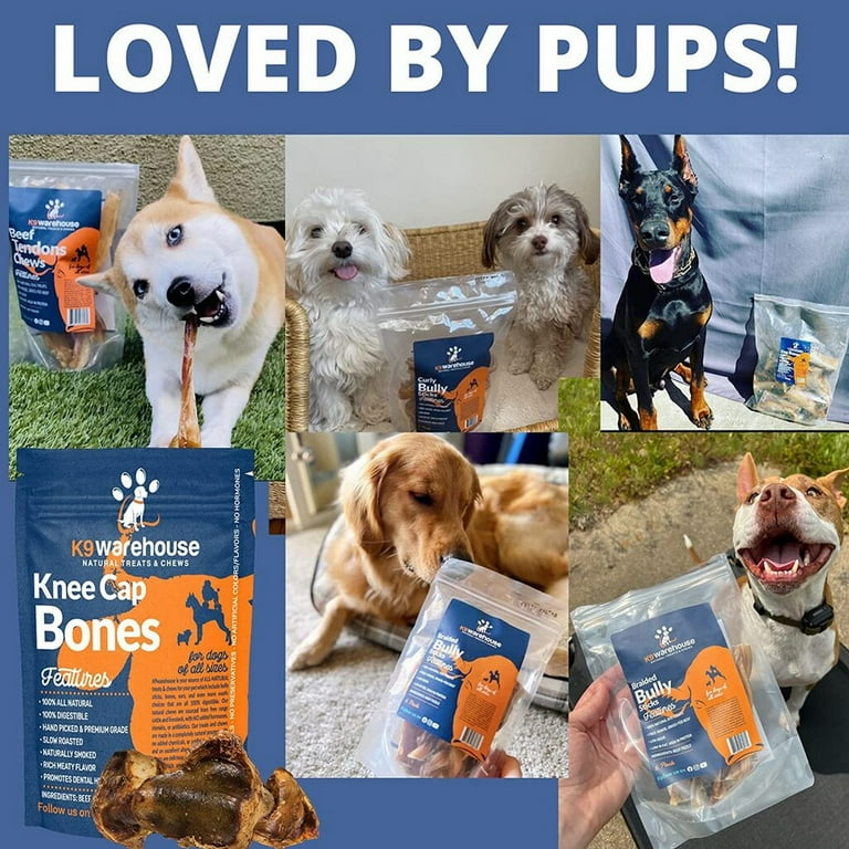 Are Knee Cap Bones Safe For Dogs