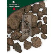 Mushroom Mojo Reishi Mycelium Plug Spawn - 100 Count Plugs - Grow ...