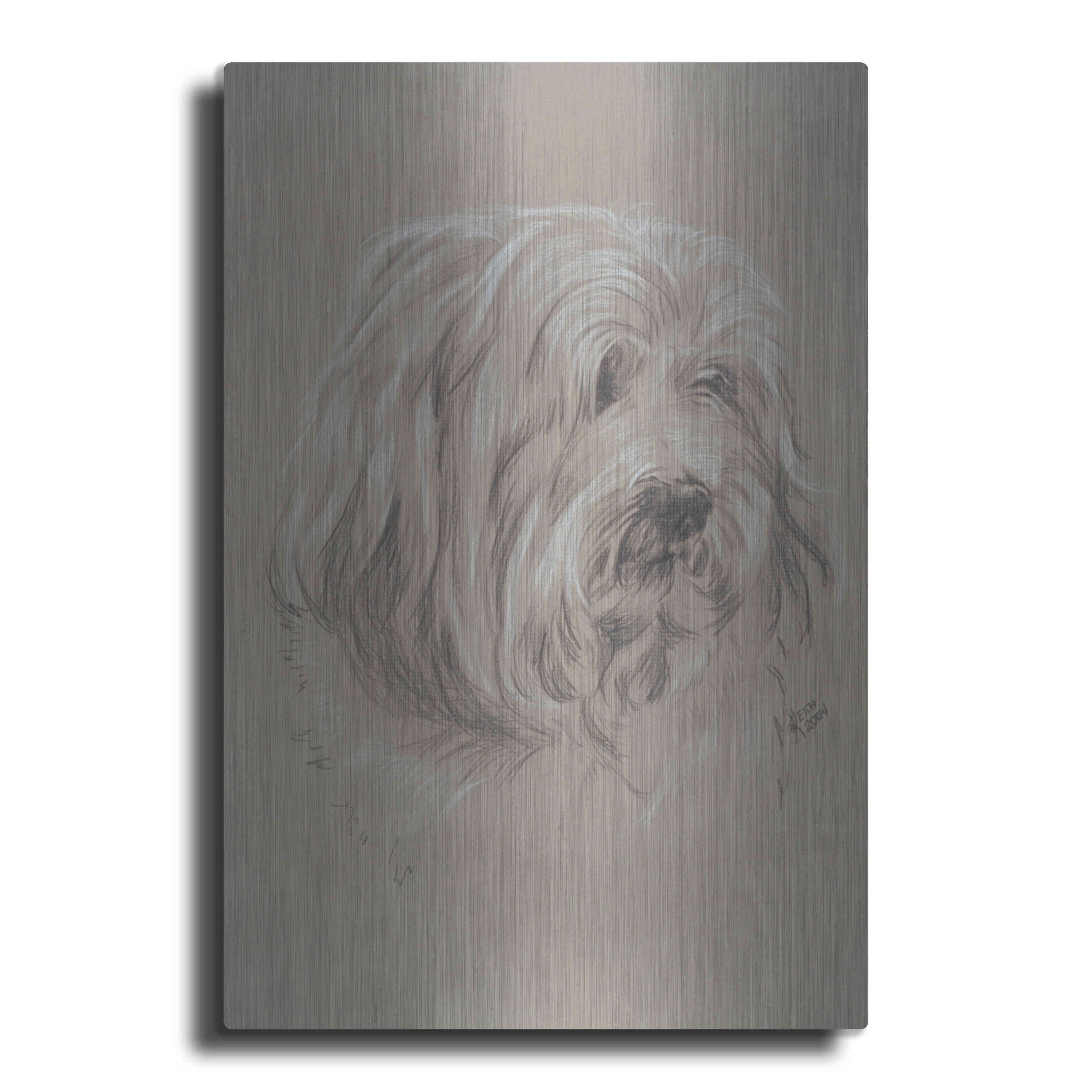 Luxe Metal Art 'Havanese' by Barbara Keith, Metal Wall Art, 24"x36 ...