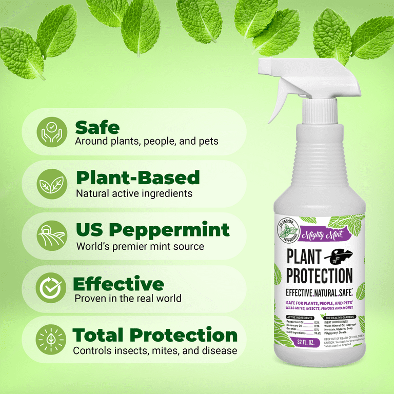 Best Spray For Spider Mites