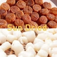 DOL Natural Sun Dried Top Graded Scallop Conpoy Japanese scallops ...