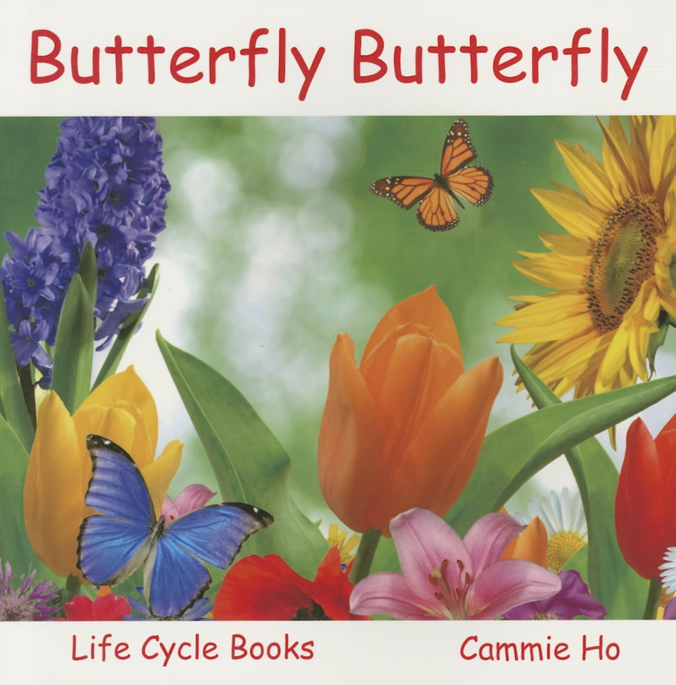 Life Cycle Of A Butterfly Book