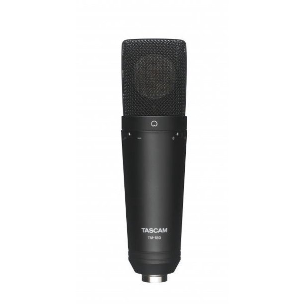 Tascam TM-280 Studio Microphone with Flight Case - Walmart.com ...