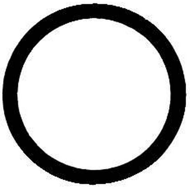 Precision Moulded O-Ring #79, Pack Of 100 - Walmart.com