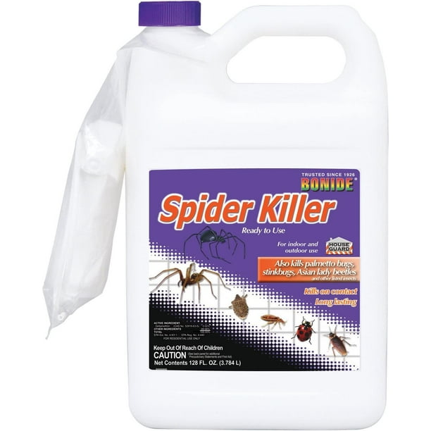 Bonide Spider Killer [Set of 4] - Walmart.com
