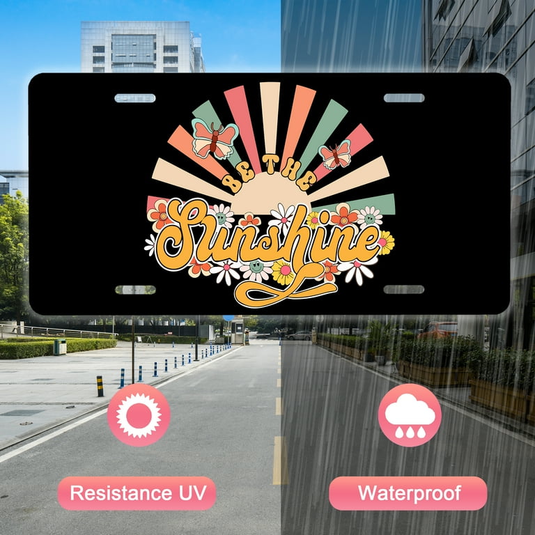 Sunshine Car Plate Sunshine With A Little Hurricane Novelty License