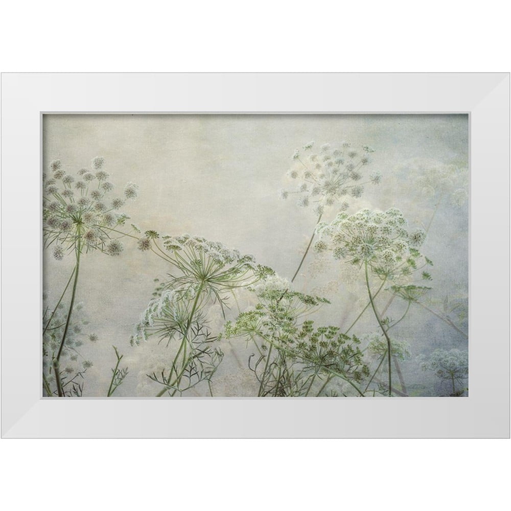 Poinski, Dianne 32x23 White Modern Wood Framed Museum Art Print Titled - Delicate Lace I ...