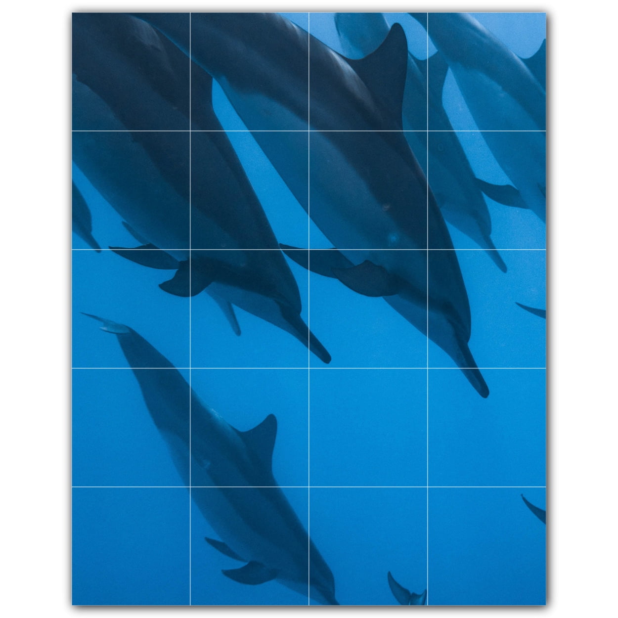 Picture-Tiles.com: Dolphin Ceramic Tile Wall Mural WAL500509-45L. 32"W ...