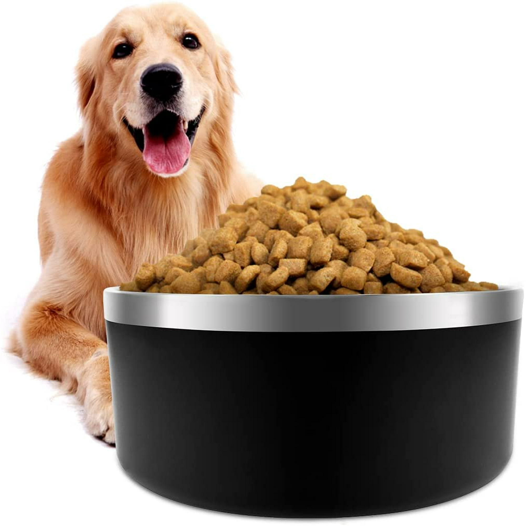 Why Do Dogs Eat Walls