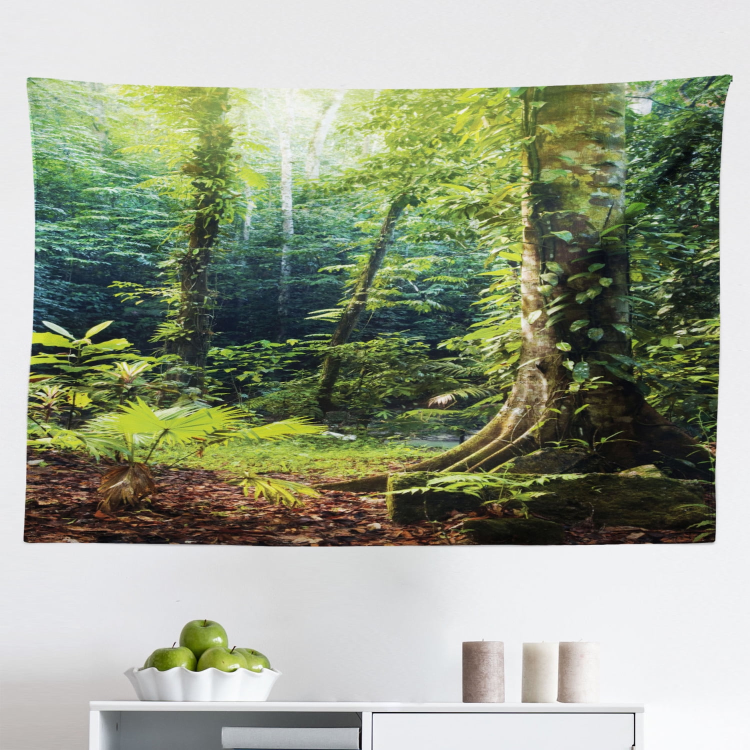 Rainforest Tapestry, Roots of Mangrove Trees Turquoise Creek Nature ...
