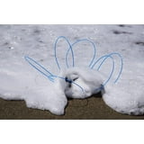 AirFly Crab Snare 6-Loops 5oz Crab Trap for Fishing Pole: Catches ...