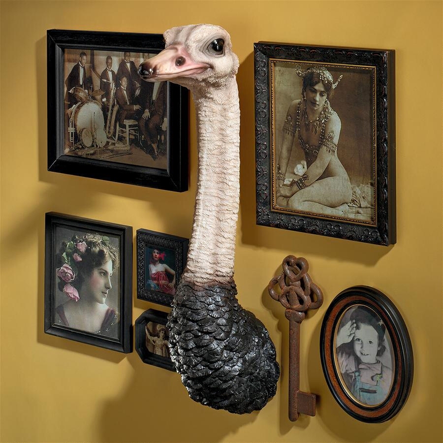 Design Toscano Ostrich Bird Trophy Wall Sculpture - Walmart.com
