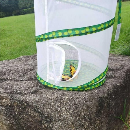 Butterfly Habitat Cage Pop-Up Insect Cage Insect Collapsible Insect ...