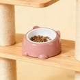 Specollect 1 Pcs Elevated Cat Food and Water Bowl Set, Wide Shallow ...