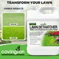 Covington Liquid Lawn Dethatcher and Soil Loosener, Kid and Pet Safe ...