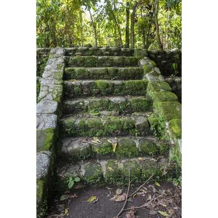 Izapa Ruins, Tapachula, Chiapas, Mexico Poster Print by Peter Hawkins ...