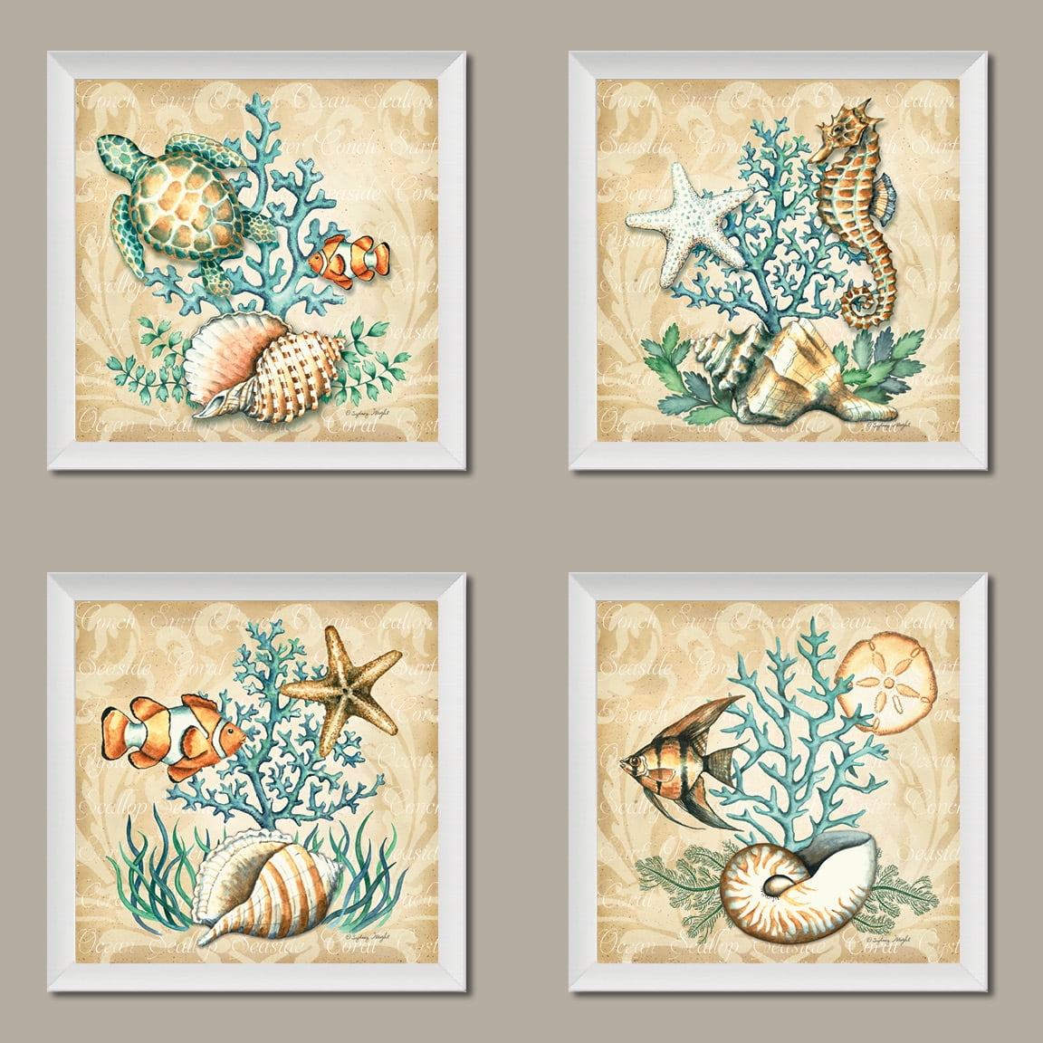 Sea Life Still Life Collages; Shells, Seahorses, Reef Fish, Starfishes ...