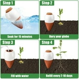 Starrth Terracotta Watering Spikes, Self Watering System, Slow Release ...