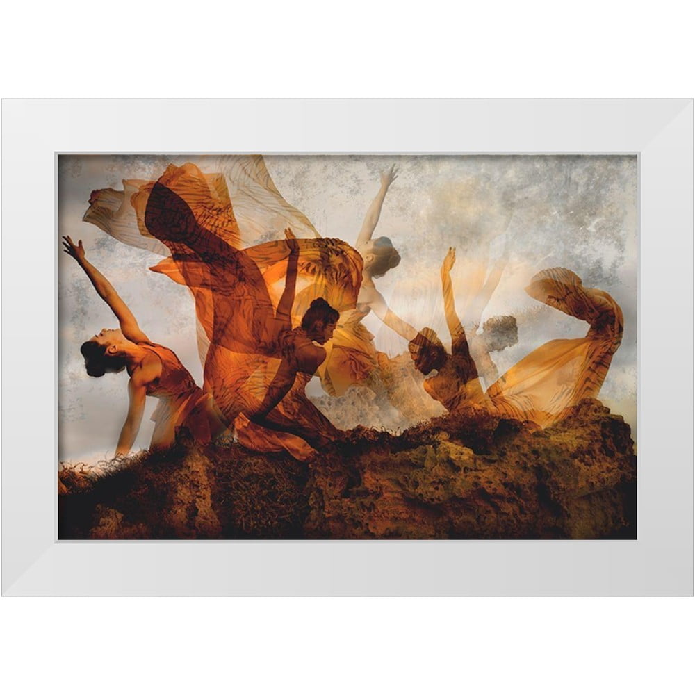 pansky, rachel 24x17 White Modern Wood Framed Museum Art Print Titled ...