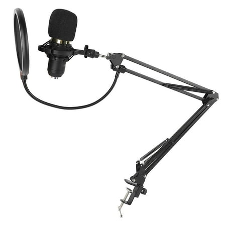 Karaoke Mic,Condenser Microphone Professional Plug Studio Condenser ...