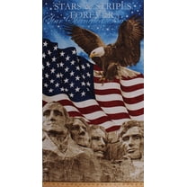 23.5" X 44" Panel Mount Rushmore American Flag Bald Eagle USA Patriotic ...