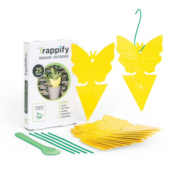 Trappify Sticky Fruit Fly and Gnat Trap Yellow Sticky Traps for Indoor ...