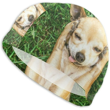 Chihuahua Dog Swim Cap, Polyester High Elasticity Swimming Cap Swimming ...