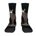Four Seasons Universal Socks - 2 Pairs of Unisex Trendy Socks with ...