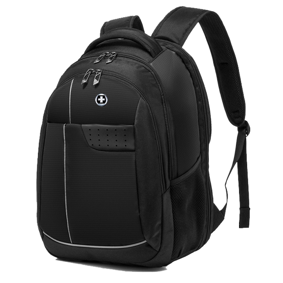 SWISSDIGITAL - SWISSDIGITAL Domain Travel Business Backpack - Walmart.com