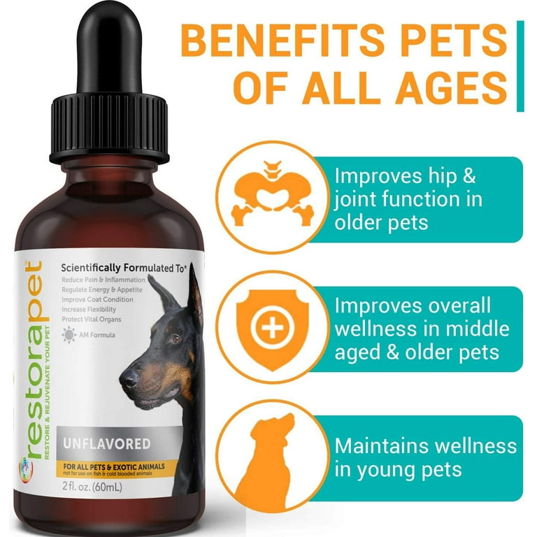 What Is The Safest Anti Inflammatory For Dogs