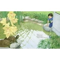 Turtle Pond, (Hardcover) - Walmart.com